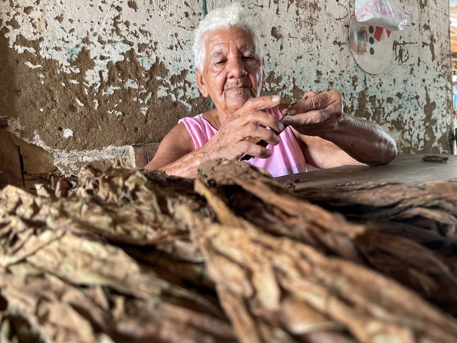 Entre hojas y tradiciones: La centenaria danza de Adela Tapia con los ...