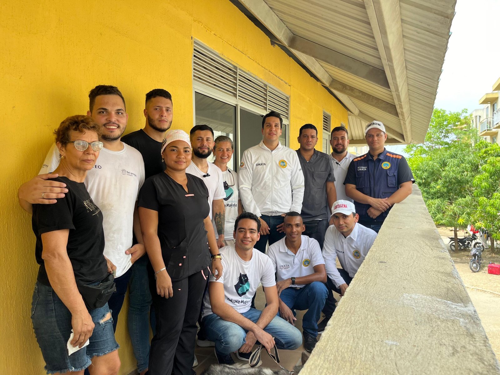 Esterilizan a 190 perros y gatos en gran jornada en Bicentenario: Umata ...