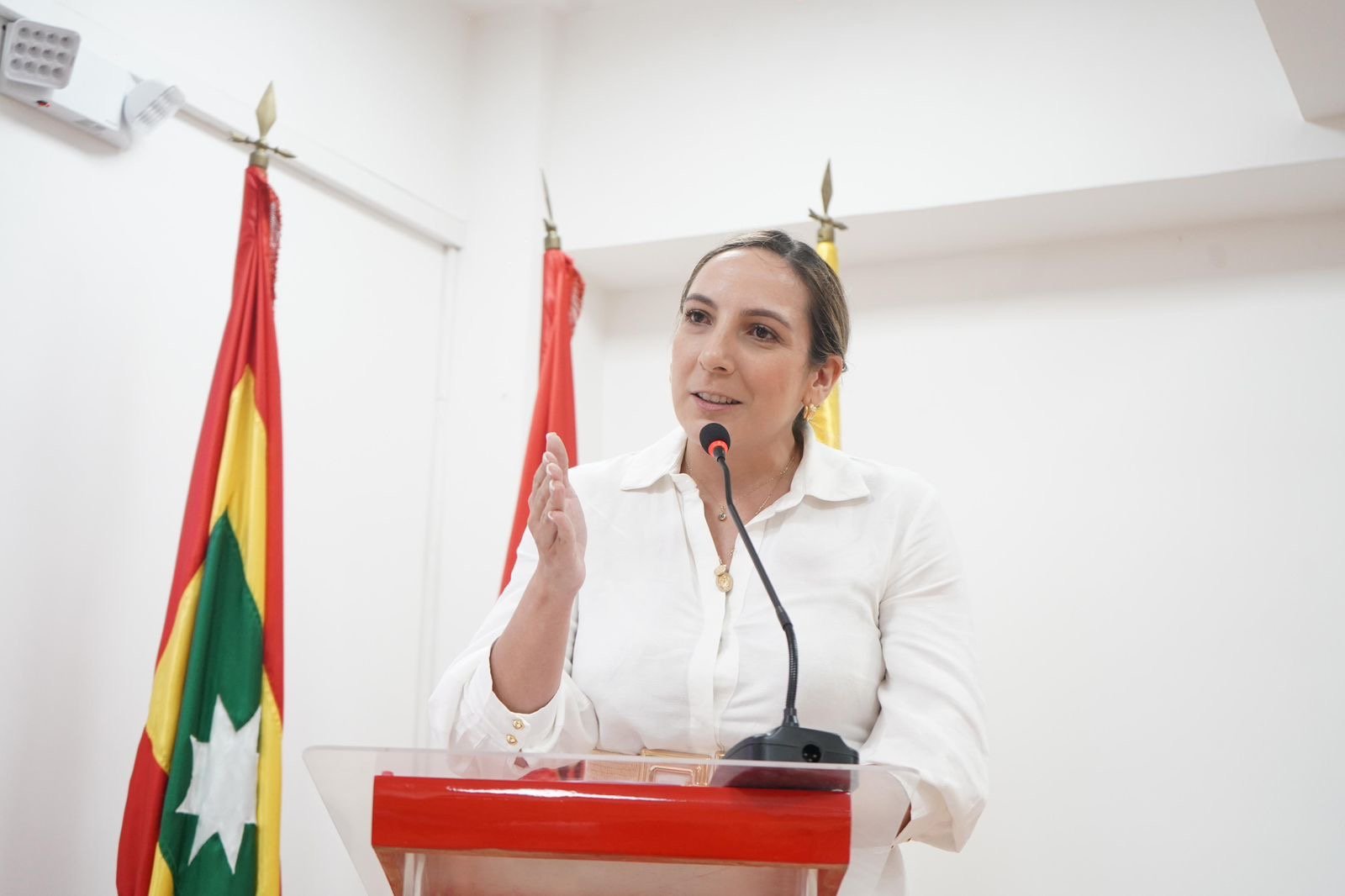 Personería Distrital formula pliego de cargos contra exjefa jurídica de ...