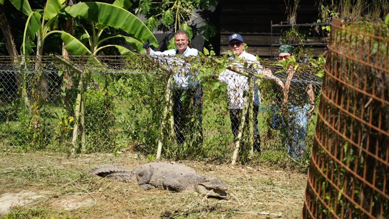 ‘La ñata’, emblema de la fauna silvestre, encuentra refugio gracias al trabajo conjunto de ...